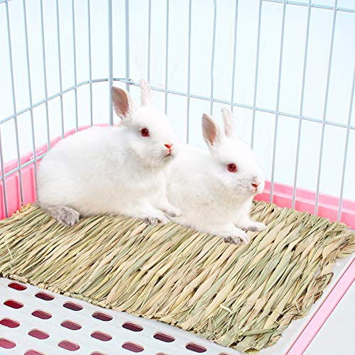 Anyuxin Rabbit Grass Mat - Woven Bed Mat, Bunny Bedding for Small Animals, Natural Straw Woven Bed for Pet Nesting, Nature Hay Mat Chewing Play Toy for Guinea Pig, Hamster, Squirrel and More(3 Pack)