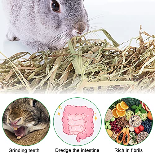 Anyuxin Rabbit Grass Mat - Woven Bed Mat, Bunny Bedding for Small Animals, Natural Straw Woven Bed for Pet Nesting, Nature Hay Mat Chewing Play Toy for Guinea Pig, Hamster, Squirrel and More(3 Pack)