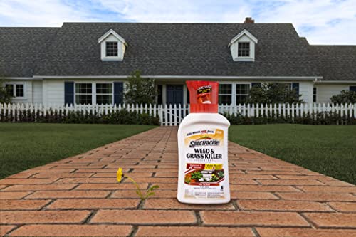 Spectracide Weed and Grass Killer Concentrate, 32 Ounces, With Accumeasure System