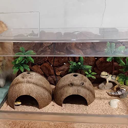 Hamiledyi Reptile Hideouts Natural Coconut Shells Hut Small Animal Hide Cave Hermit Crab Climbing Toys Lizard Habitat Decor Plant Leaves Decoration for Gecko Spider Snake Chameleon (4Pcs)