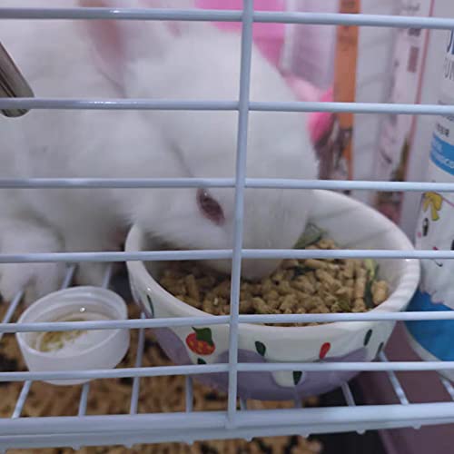 Hamster Food Bowl,Small Animals Ceramic Food Water Bowl Prevent Tipping Moving for Guinea Pig Rabbit Gerbil Chinchilla Hedgehog Rat (2 Pack) (- Color: Purple + Blue)
