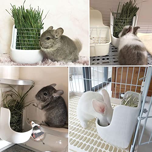 kathson Rabbit Hay Feeders Ceramic Food Bowl Rack Bunny Water Bottles Dispenser Small Animal Chew Twist for Rabbit Guinea Pig Chinchillas Hamsters