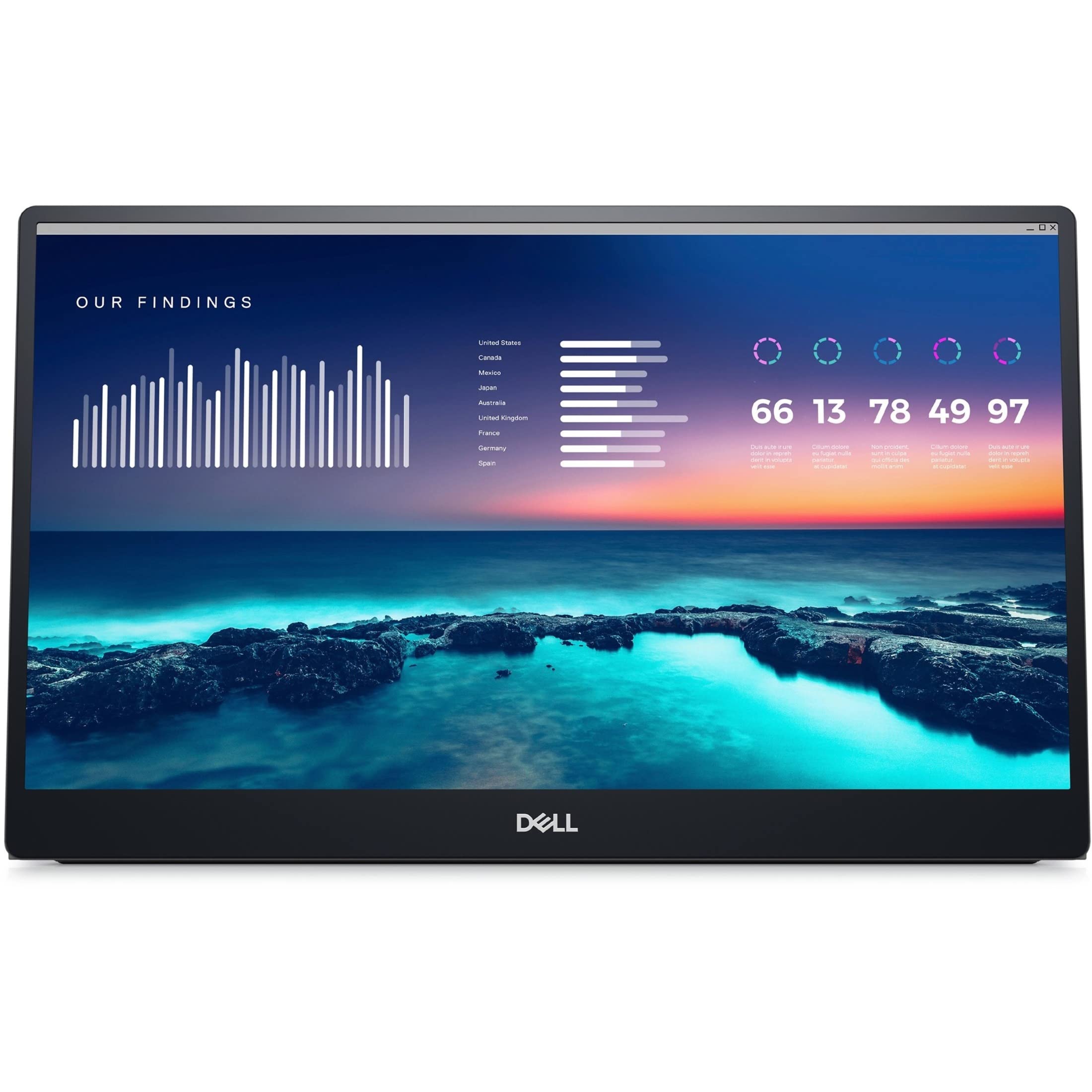 Dell C1422H 14" Full HD LCD Monitor - 16:9 - Silver