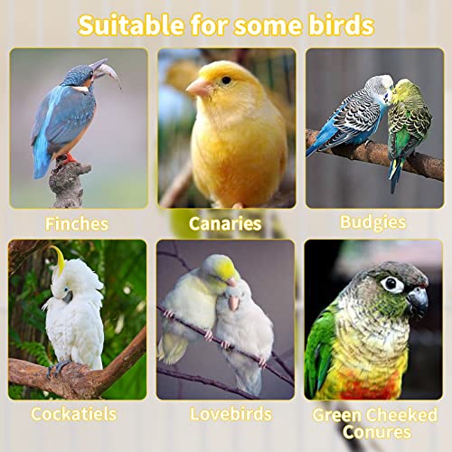 Hamiledyi Bird Perch Bird Stand Bird Cage Accessories Platform Natural Wood Perch Stick Playground for Small Medium Birds Cockatiel Parakeet Conure Cage Accessory (8 Pcs)