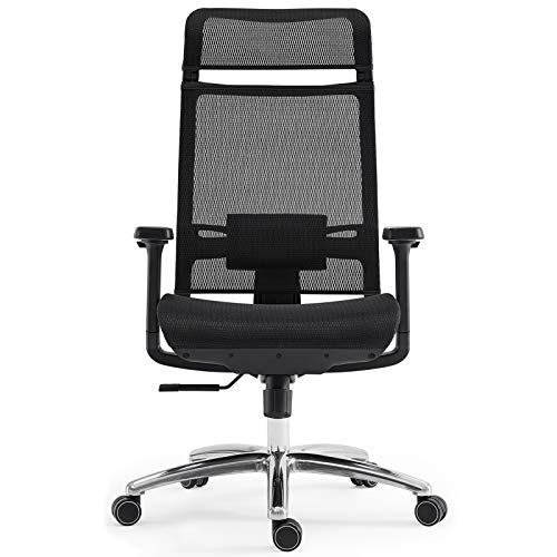 BILKOH Ergonomic Office Chair with Mesh Seat & Adjustable Lumbar Support, High Back Desk Chair with Breathable Mesh, Wide Headrest & Reclining Swivel Task Chair, 3D Armrest & Height Computer Chair