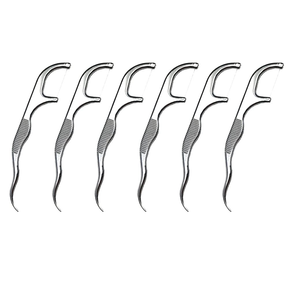 HEMOTON 6pcs Dental Floss Pick Portable Angled Flossers Stainless Steel Toothpicks Outdoor Teeth Cleaning Tools for Travel Teeth Care