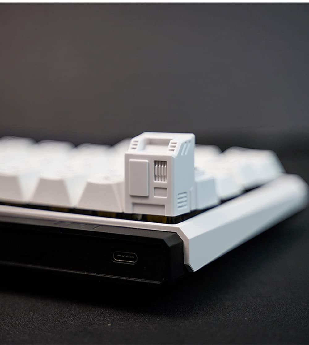 Custom keycaps for Esc Key and Tab Key, Mag.ne.tic and Light-Transmission Design, fits Most Keyboards Especially 60% Mechanical Gaming Keyboard