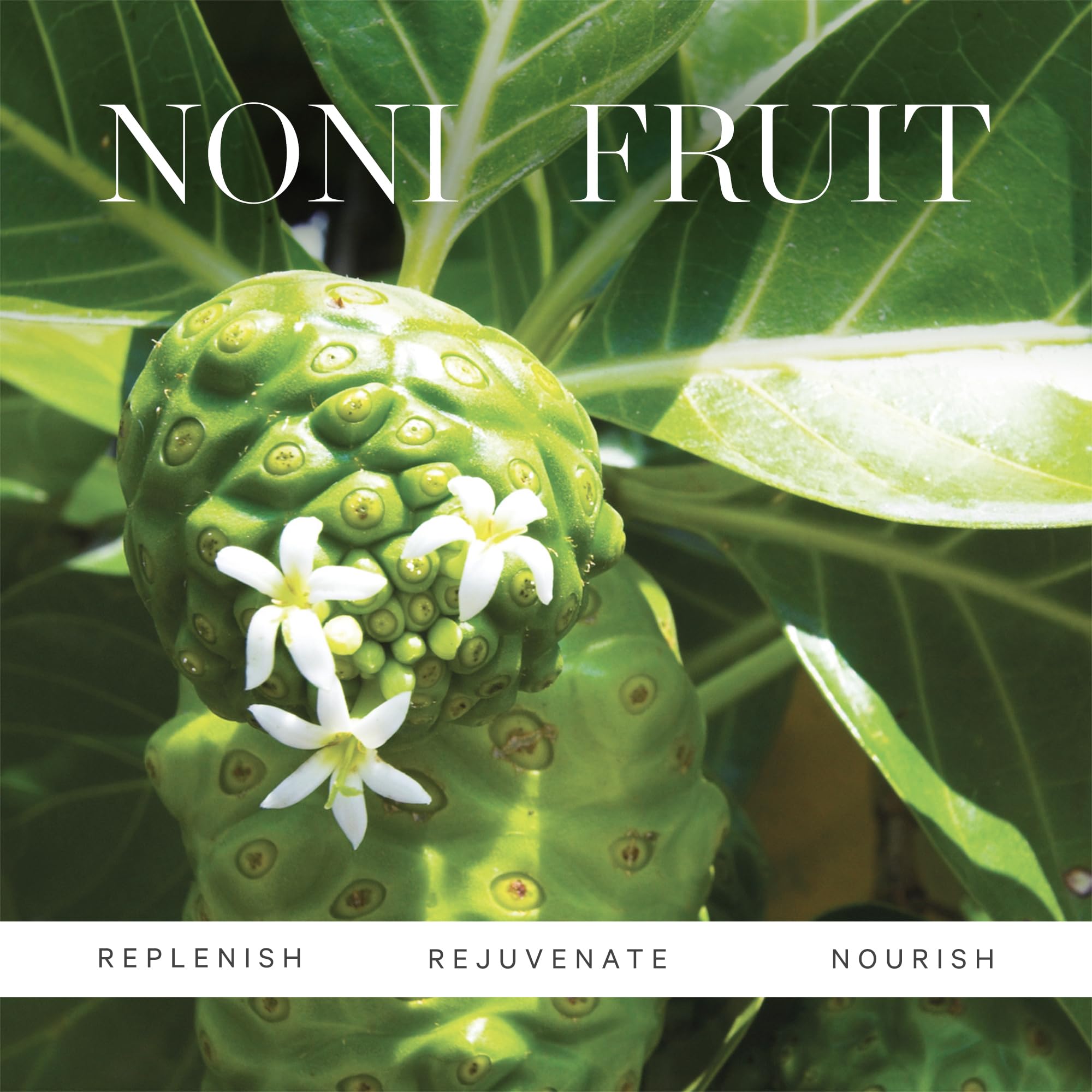 KORA Organics Noni Radiant Hydrating Eye Oil, Smooth & Tone, Certified Organic, Cruelty Free, 0.34 fl oz