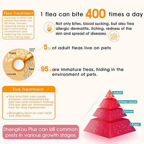 Cat Flea and Tick Treatment and Prevention, Effective Spot-On Made with Natural Formula, 2-25 lbs, (9 Month Supply)