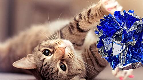 20 Pcs 2 Inch Crinkle Balls Cat Toys Mylar Crinkle Balls for Kittens Exercise and Multiple Cats Play