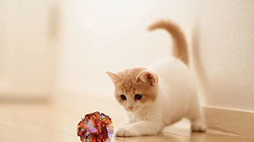 20 Pcs 2 Inch Crinkle Balls Cat Toys Mylar Crinkle Balls for Kittens Exercise and Multiple Cats Play