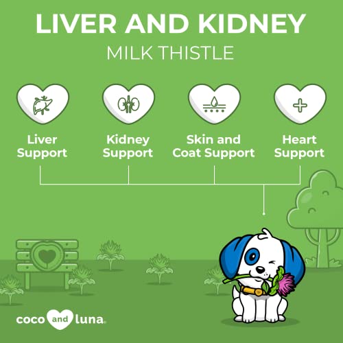 Milk Thistle for Dogs - 120 Chewable Tablets - Liver and Kidney Support for Dogs - Hepatic Support with EPA & DHA - Detox for Dogs - Dog Liver Support - Liver Supplement for Dogs