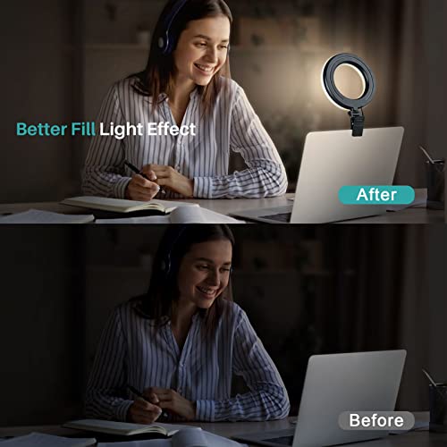 Weilisi 6.5'' Ring Light for Computer, 3 Light Modes Video Conference Lighting, Mini Ring Light Selfie Ring Light for Laptop, Webcam, Zoom, Desk