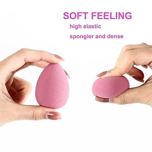 Makeup Sponge 3pcs Makeup Sponges for Foundation Blending Sponges for Makeup Sponge Beauty Blender Sponge Pink Latex Free and Vegan Make up Sponges for Face with a Storage Case (3, Pink)