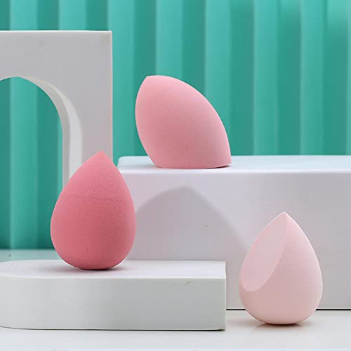 Makeup Sponge 3pcs Makeup Sponges for Foundation Blending Sponges for Makeup Sponge Beauty Blender Sponge Pink Latex Free and Vegan Make up Sponges for Face with a Storage Case (3, Pink)