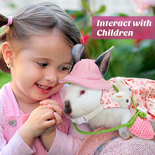 2 Sets Pet Rabbit Bunny Dress Bunny Easter Costume with Leash Hat Mini Bag Harness Leash Small Animals Accessory for Rabbit Hedgehog Ferret Guinea Pigs Piggies Squirrel (Pineapple and Cherry)