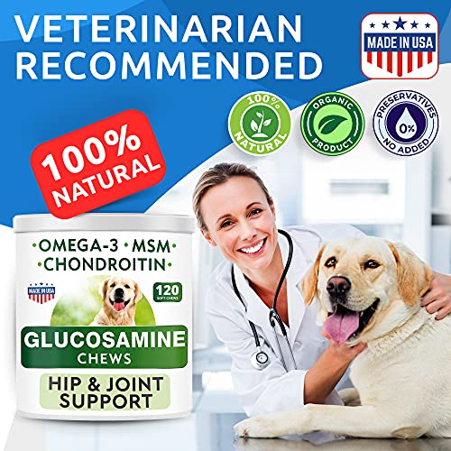 Glucosamine Dog Treats - Joint Pain Relief Supplement - Advanced Formula with Chondroitin, MSM, Omega-3 - Hip & Joint Care - Made in USA - Chicken Flavor - 120 Chews