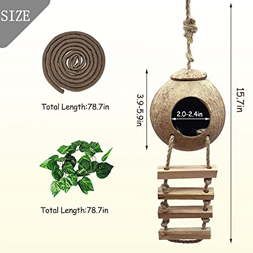 Tfwadmx Crested Gecko Coco Hut Natural Lizard Coconut Shell Hideout Home Mini Condo Reptiles Durable Ladder Cave Habitat Hanging Loop Climbing Porch Hiding Nest House