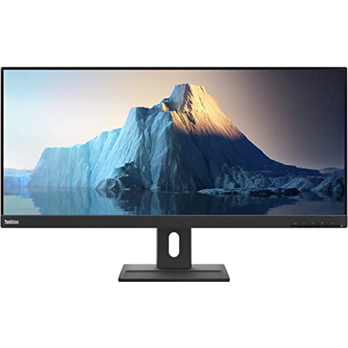 Lenovo ThinkVision E29w-20 29" UW-UXGA WLED LCD Monitor - 21:9 - Raven Black