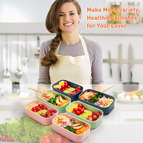 Bento Lunch Box - All-in-One Stackable Japanese Bento Box - Leakproof Eco-Friendly Meal Prep Containers for Men Women, Microwave and Dishwasher Safe,Easy Wash (Blue)