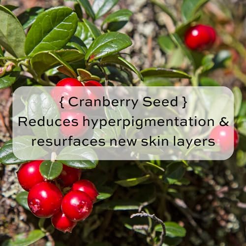 Hygiene Hero Cranberry Private Bar - Yoni Soap Bar for Genitals - Best for Vulva, Intimate Areas, Underarms, Privates & Dark Spots - Handcrafted, Vegan and GMO-Free