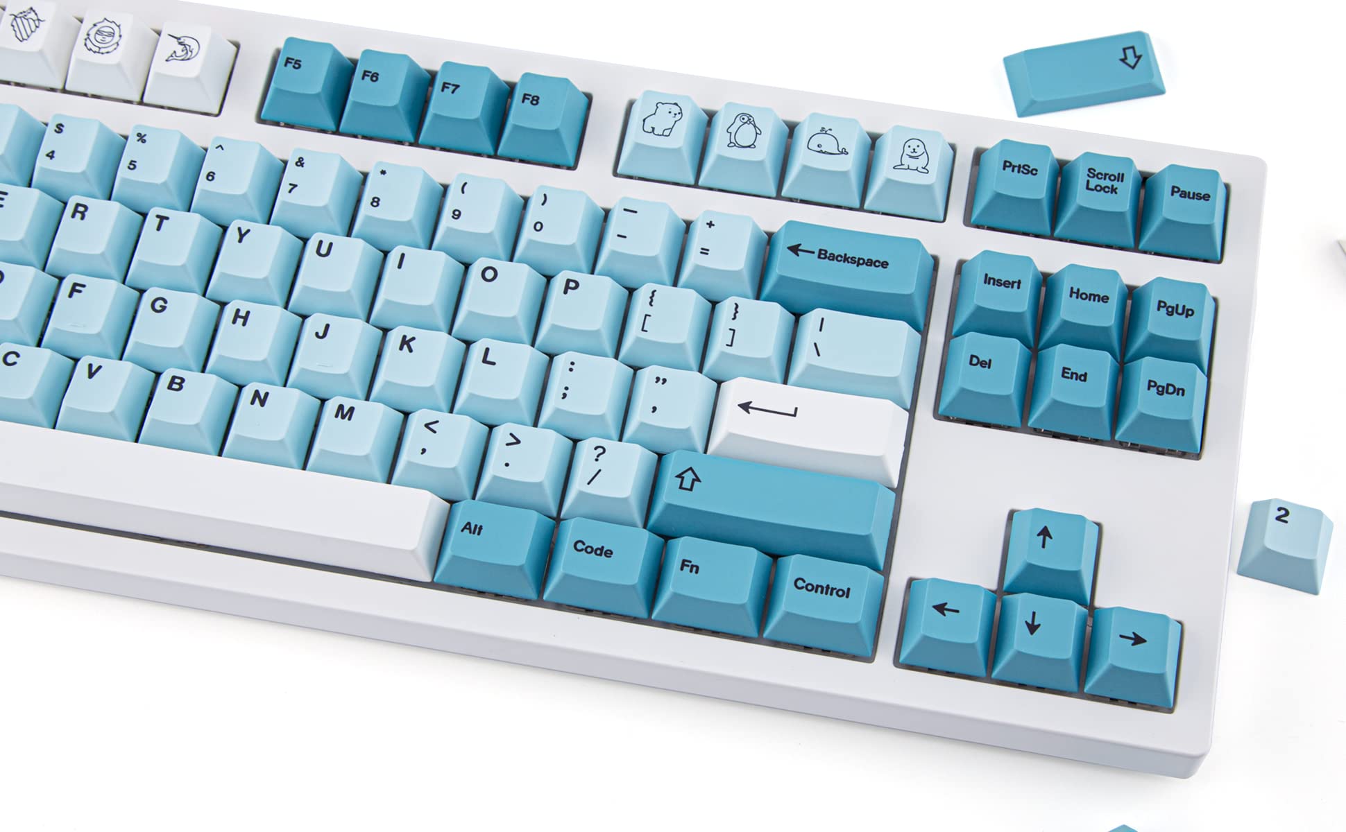 TOKEY PBT keycap Cherry Profile 142 Key Dye Sublimation ANSI Layout Keycap for Mechanical Gaming Keyboard Gateron Kailh Cherry MX Switches (Iceberg English)