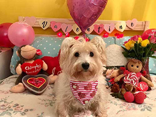 Valentines Day Dog Bandana 2 Pack - Triangle Bibs Pet Scarf for Small Dogs Puppy Cat