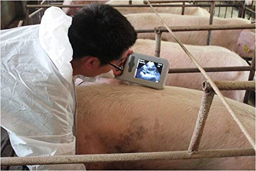 MLSJM Ultrasound Scanner,Pig Veterinary Ultrasound Scanner Machine Kit,Veterinary Farm Animals for Pig Pregnancy, Rechargeable Smart B-Ultrasound Handscan