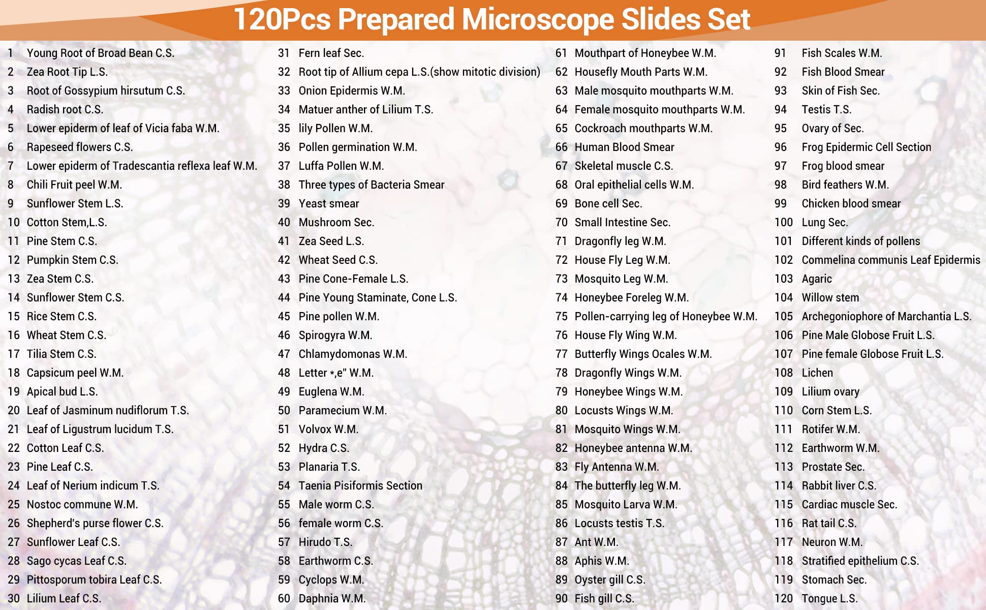 120 Prepared Microscope Slides for Kids & Students, Microscope Glass Slides Set Including Animal & Plant Specimens, Suitable for School and Home Education
