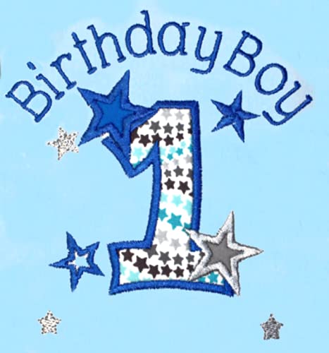 Fantasy Kids Designs First Birthday Boy Bib Smash Cake Bib Personalized with Custom Name (Light Blue Bib)