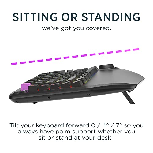 Cloud Nine ErgoTKL Ergonomic Tenkeyless Mechanical Keyboard for PC β Kailh White β TKL RGB Backlit Ergo Split Key Board