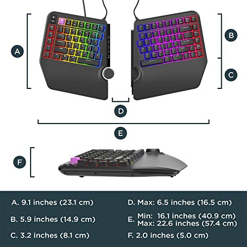 Cloud Nine ErgoTKL Ergonomic Tenkeyless Mechanical Keyboard for PC β Kailh White β TKL RGB Backlit Ergo Split Key Board