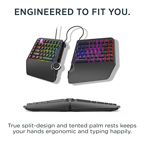 Cloud Nine ErgoTKL Ergonomic Tenkeyless Mechanical Keyboard for PC β Kailh White β TKL RGB Backlit Ergo Split Key Board
