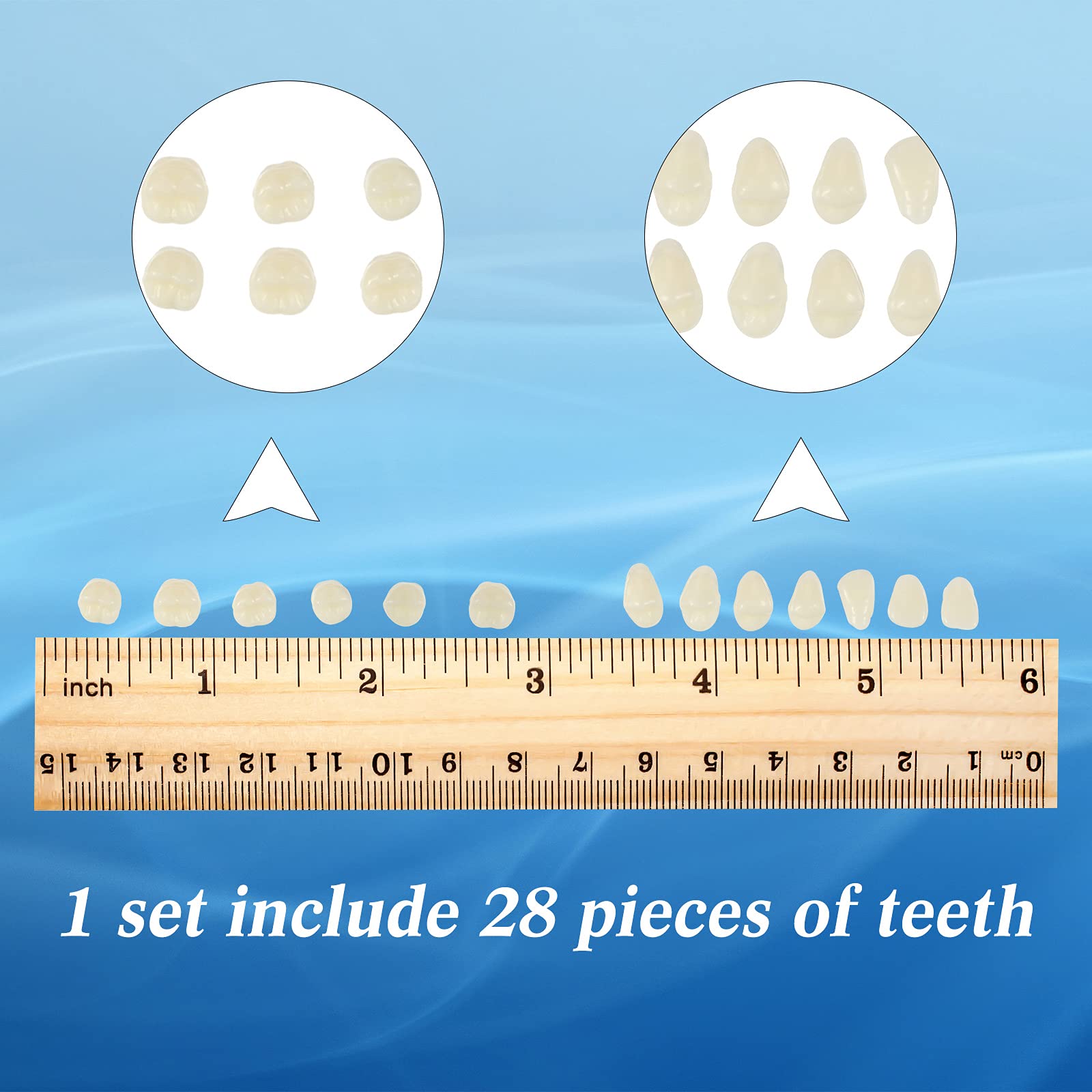 BBTO 6 Sets Acrylic Resin Fake Teeth artificial teeth Denture Replacement tooth prop Synthetic Resin Denture for Replacement, 112 Pieces, 23 A2
