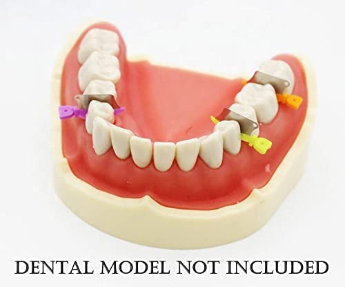 Dental Wedge Guard with Metal Plastic Knife and Protection Matrix for Teeth Interproximal Area 50pcs/box (SMALL)