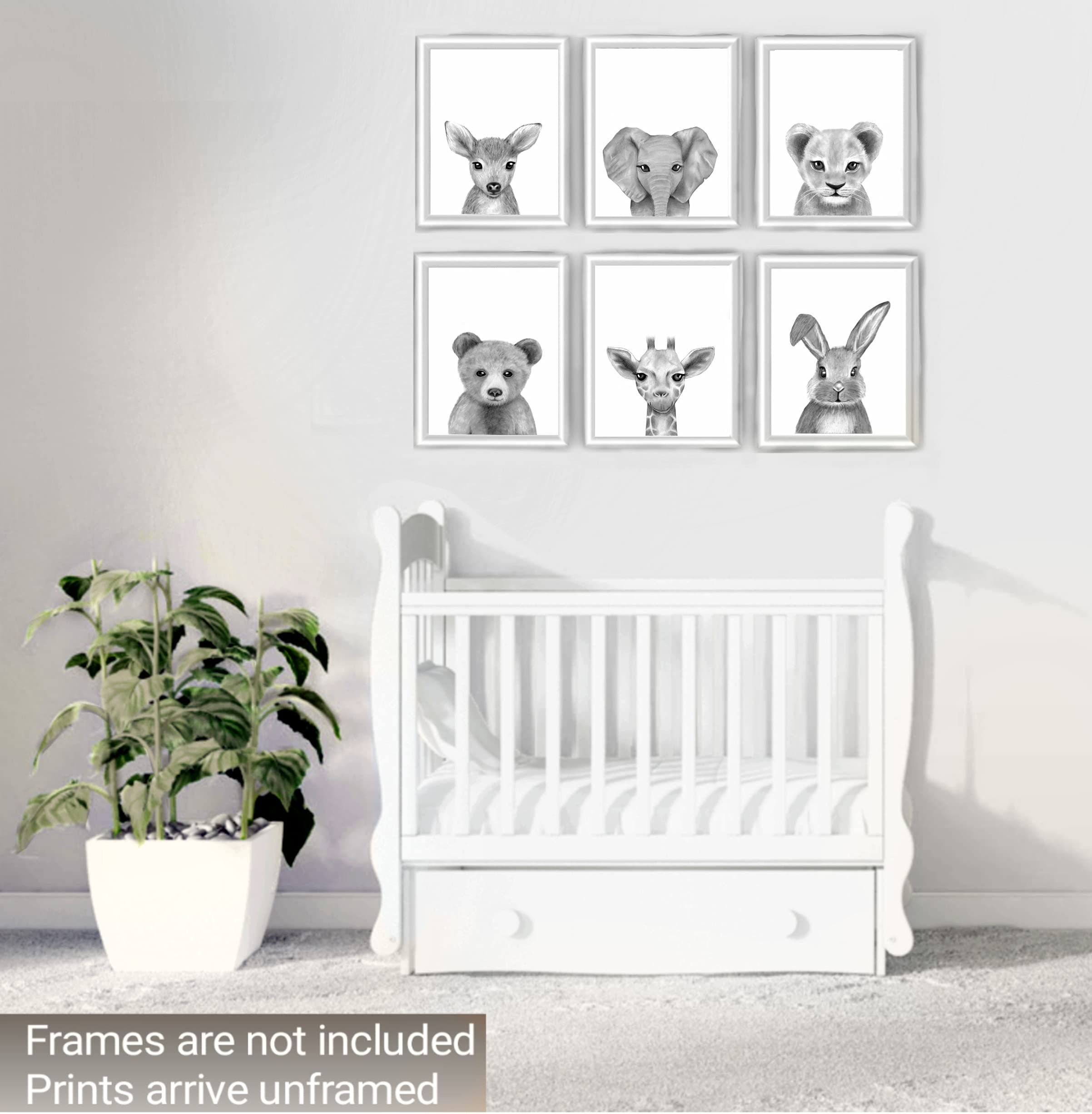 Baby Animal Nursery Prints |Set of 6| Neutral Woodland and Safari Artwork for Wall Decor (11in x 14in)