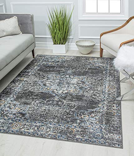 Rugs America Preston PS35A Shadow Bay Blossom Transitional Vintage Area Rug, 8'0"X10'0"