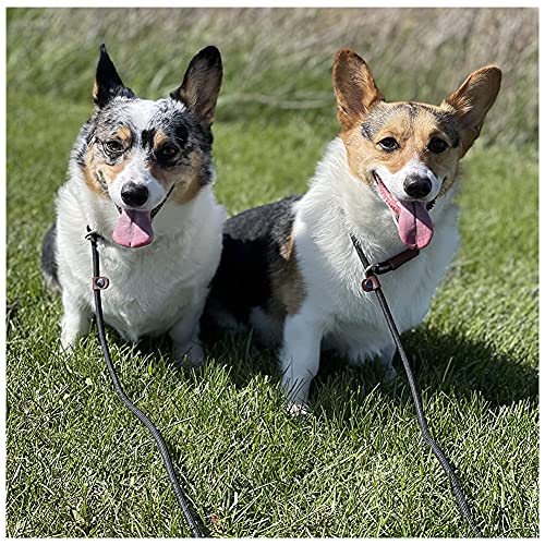 BTINESFUL 7FT Slip Lead Dog Leash, Strong Nylon Rope Leash, 1/4 & 1/2 inch Diam Dog Training Lead for Small Medium Large Dogs (1/4" * 7 FT, Black)