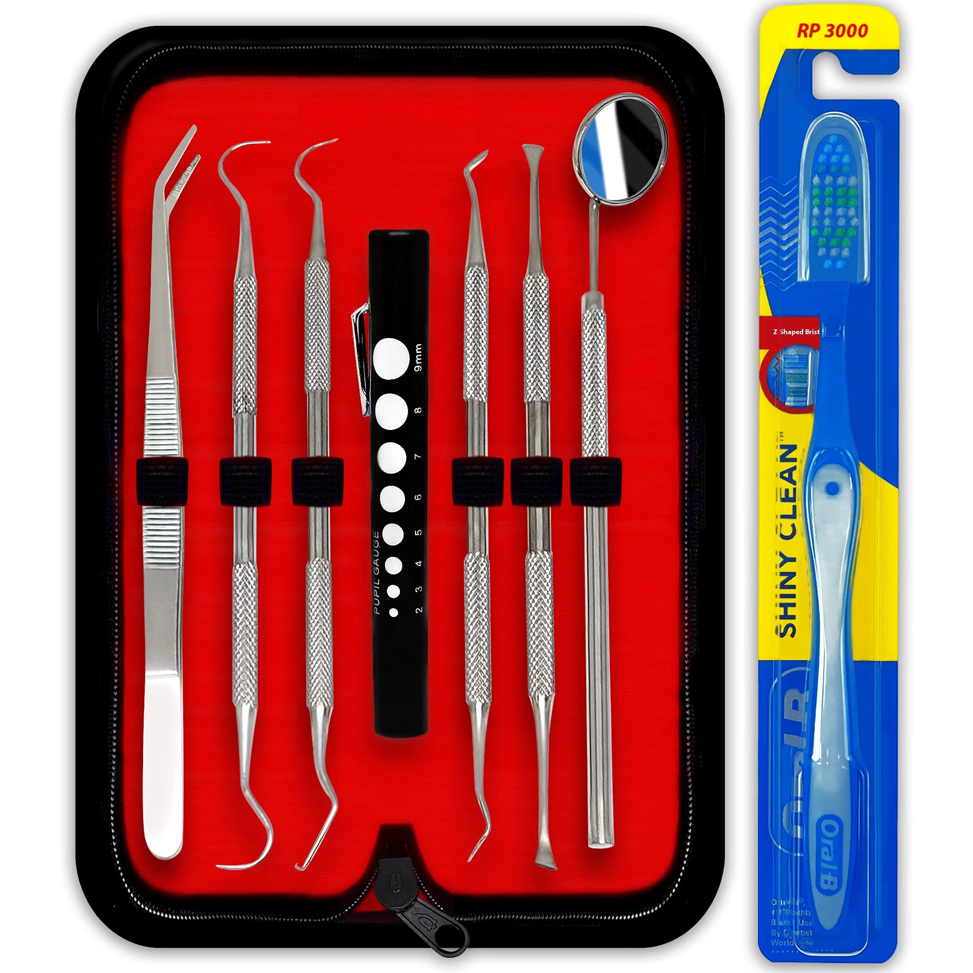 DEXA DENTAL Professional Dental Hygiene Kit - Stainless Steel Tartar Remover, Tooth Scraper, Pick Scaler, Penlight, Toothbrush, and Case
