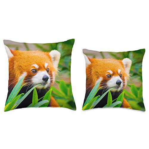 Red Panda Gifts Red Panda Throw Pillow, 18x18, Multicolor