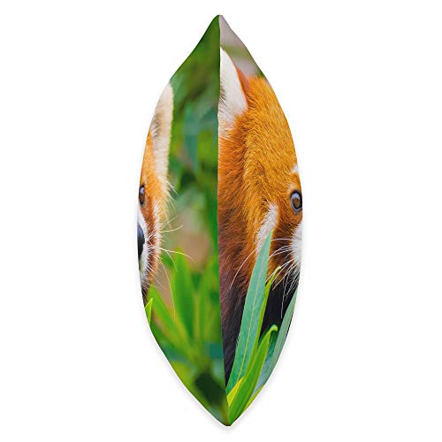 Red Panda Gifts Red Panda Throw Pillow, 18x18, Multicolor
