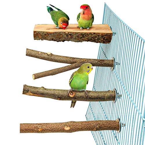 4 Pack Natural Wood Bird Perch for Bird Cages,Parrot Stand Perch Platform Exercise Playground Toys Paw Grinding Stick Perch Stand Cage Accessories for Budgies Cockatiel Conure Parakeet Lovebirds (H01)