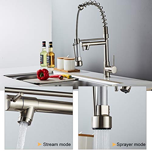 DEWINNER Pull Down Kitchen Faucet, Kitchen Sink Faucet with Sprayer, 2-spout, Single-Handle Control, Rotate 360 Degrees, High Arc Spring Design, Brushed Nickel