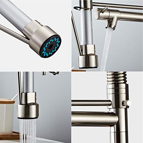 DEWINNER Pull Down Kitchen Faucet, Kitchen Sink Faucet with Sprayer, 2-spout, Single-Handle Control, Rotate 360 Degrees, High Arc Spring Design, Brushed Nickel