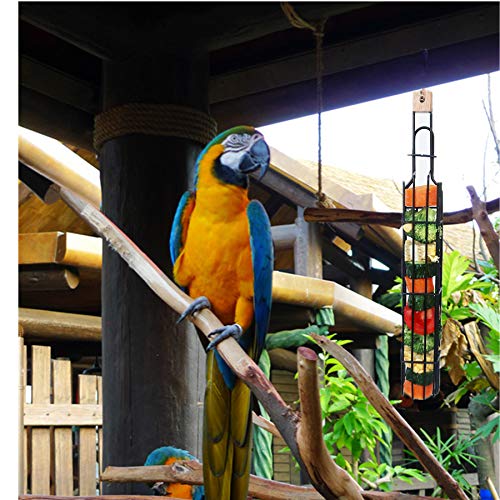 alfyng 2pc Bird Parrot Fruit Basket and Wooden Bird Perch Stand, Bird Food Holder, Parrot Hanging Metal Birdcage Vegetable Fruit Treat Feeder, Foraging Feeding Tool for Medium Large Parrot