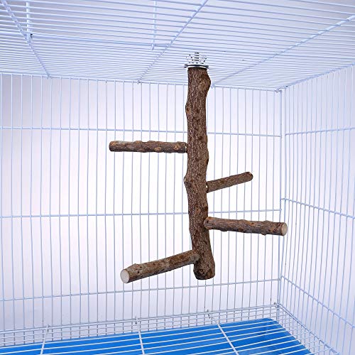 Mogoko Natural Wood Bird Perch Stand, Hanging Multi Branch Perch for Parrots, Parakeets Cockatiels, Conures, Macaws, Love Birds, Finches