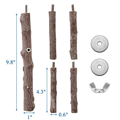 Mogoko Natural Wood Bird Perch Stand, Hanging Multi Branch Perch for Parrots, Parakeets Cockatiels, Conures, Macaws, Love Birds, Finches