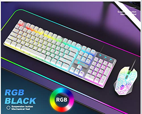 KUIYING Gaming Keyboard and Mouse Combo,RGB Rainbow Backlit Keyboard with PC Wired Keyboard+2400DPI 6 Buttons Rainbow LED Gaming Mouse+Mouse Pads for PC PS4 (White), 20.9 x 6.1 x 2.1