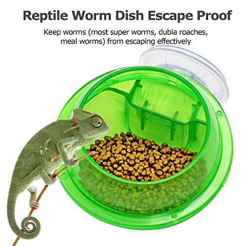 MACGOAL 3 Pieces of Reptile Suction Cup Feeder Chameleon Bowl Reptile Food and Water Bowl Dish Reptile Worm Dish Escape Proof, Suitable for Crested Gecko Tree Frog Chameleon Lizard Bearded Dragon