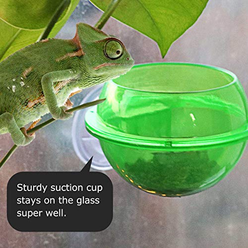 MACGOAL 3 Pieces of Reptile Suction Cup Feeder Chameleon Bowl Reptile Food and Water Bowl Dish Reptile Worm Dish Escape Proof, Suitable for Crested Gecko Tree Frog Chameleon Lizard Bearded Dragon